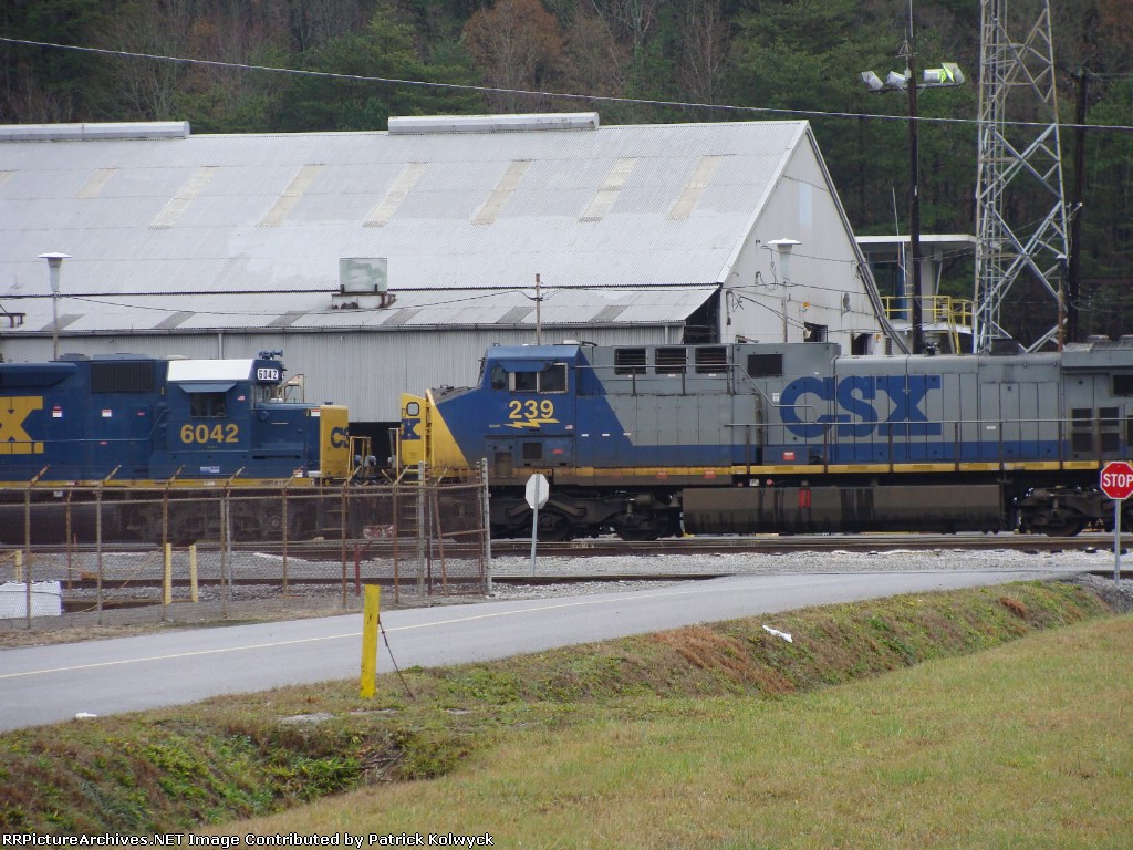 CSX 239